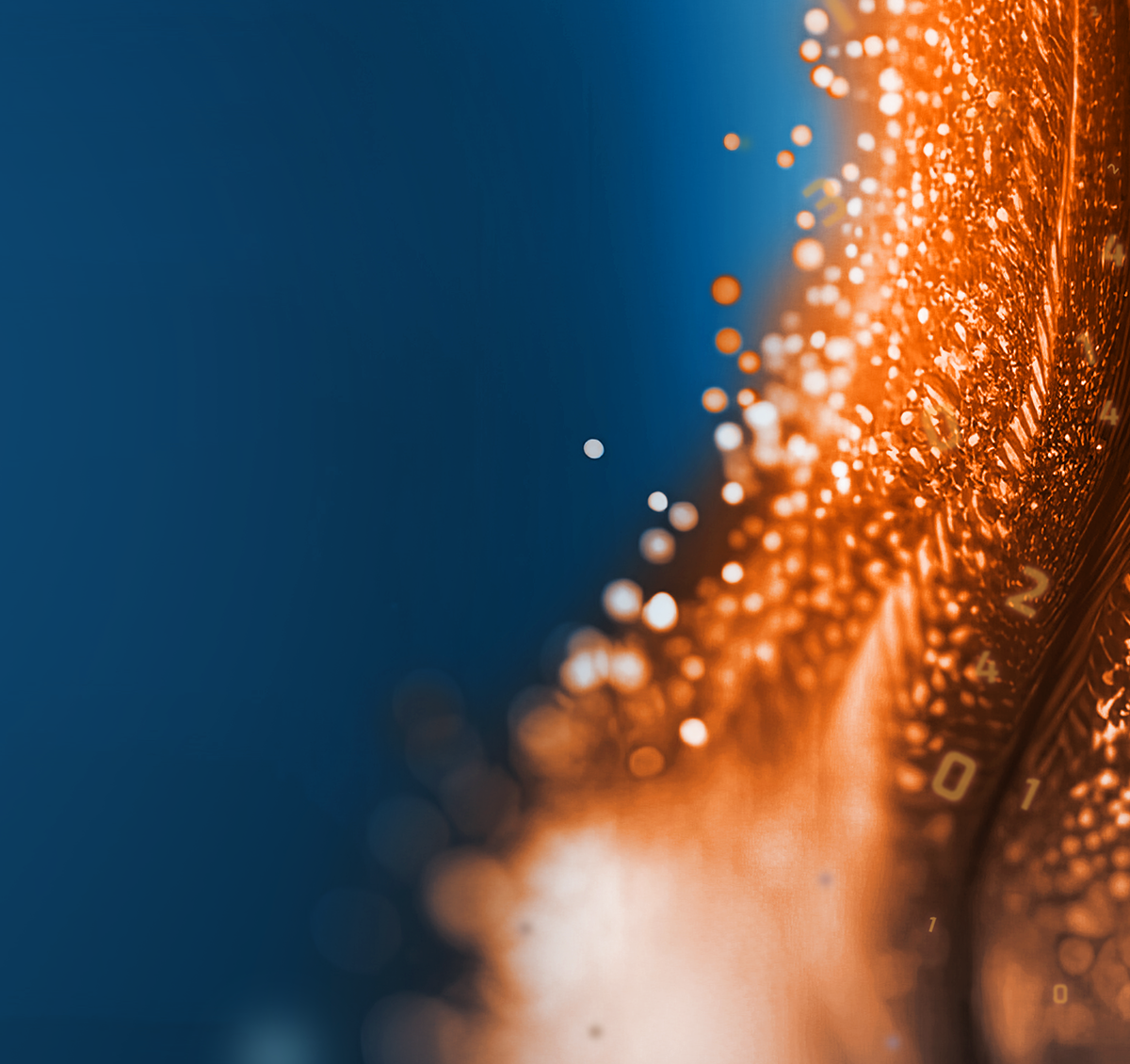 Fund Channel | Fund Channel